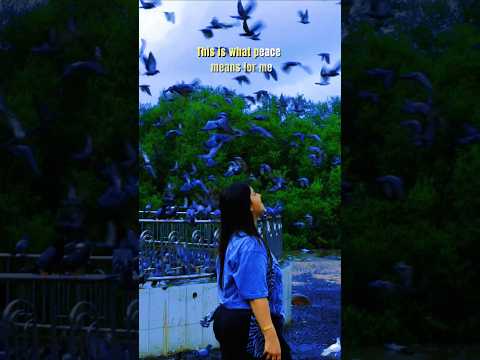 Finding My Personal Meaning of Peace | #shortsfeed #trending #shorts #peace #magic