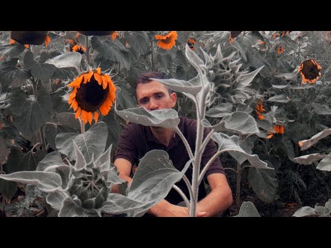 Verb T – ‘Morning Process’ (10 Year Anniversary Edition) (stream ...