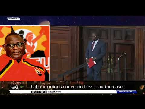 Budget 2025 | Labour unions concerned over possible tax increase: Zwelinzima Vavi