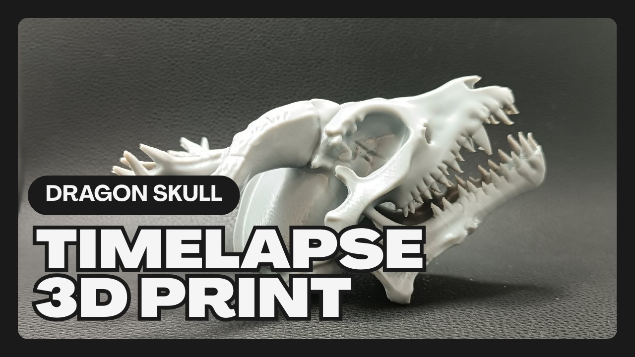 Realistic Dragon Skull 3D Print Timelapse