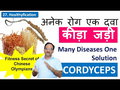 Many Diseases One Solution | Cordyceps | अनेक रोग एक दवा | Keeda Jadi | Himalayan Gold | SK Sharma