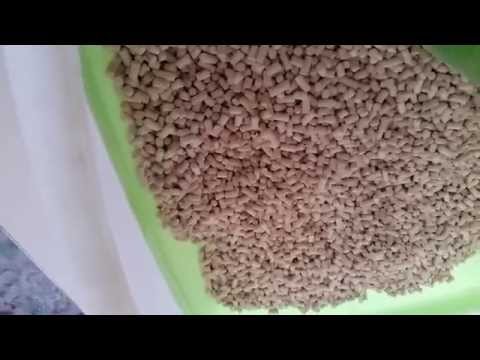 Breeze litterbox review