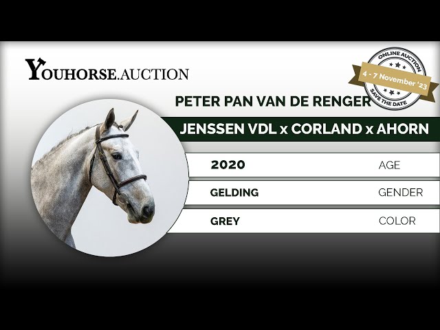 Youhorse.auction | Peter Pan van de Renger