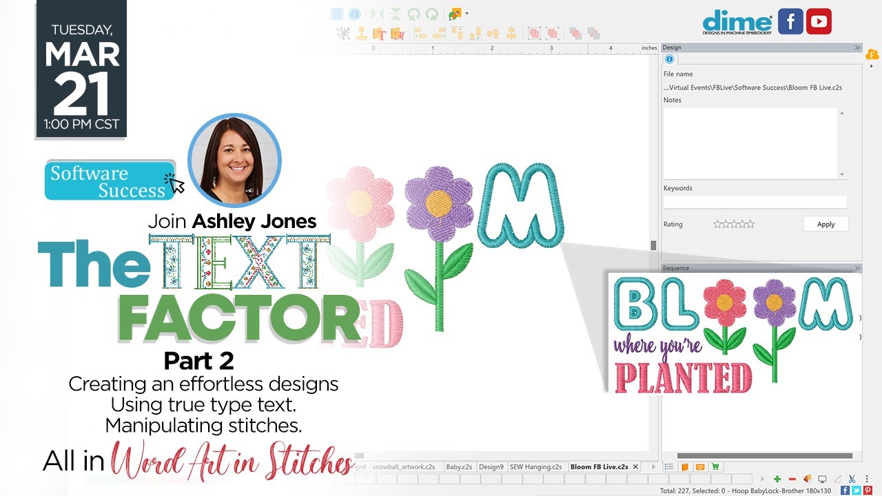 The Text Factor | Part 2 | Software Success