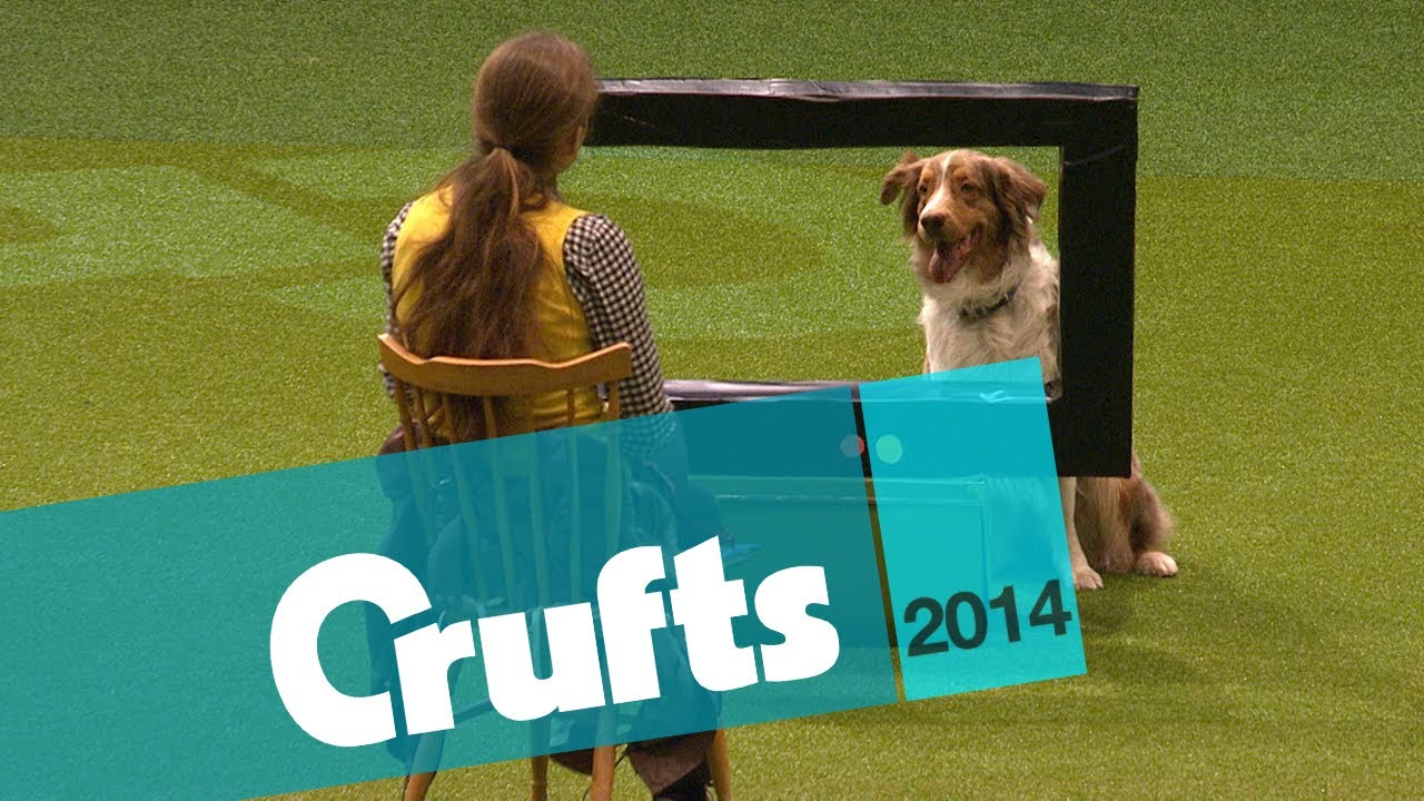 The Lighter Side of Crufts | Crufts 2014