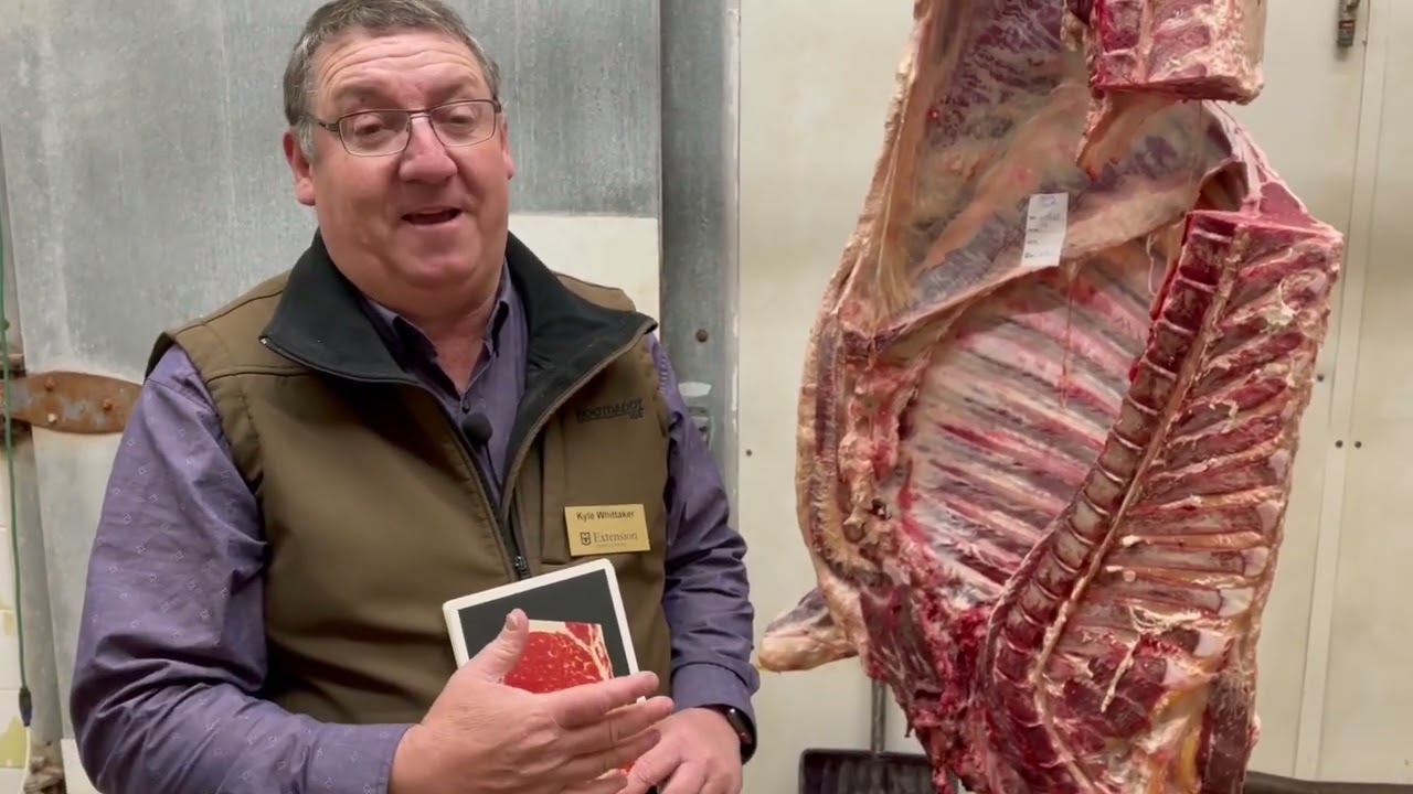 Carcass Evaluation Video