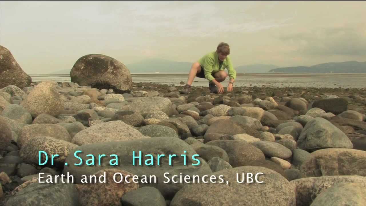 2011 UBC Killam Teaching Award