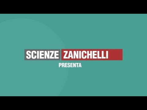 Come si prepara una soluzione - Scienze Zanichelli