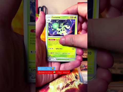 Pokémon quest continues