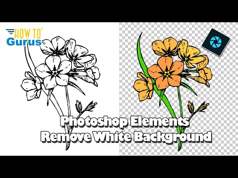 Photoshop Elements Remove White Background Project for Beginners COMPLETE