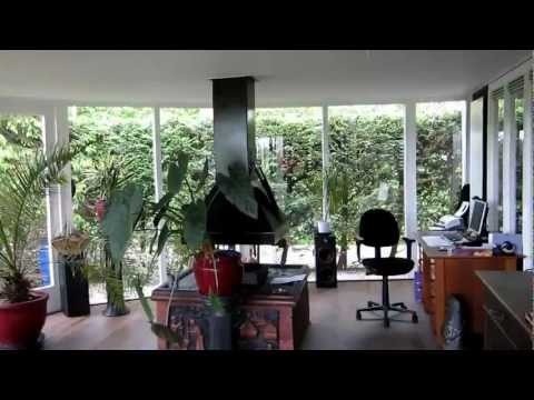 MVI_0082.MOV