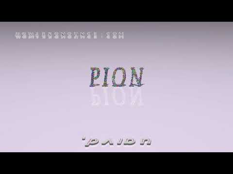 pion - pronunciation + Examples in sentences and phrases