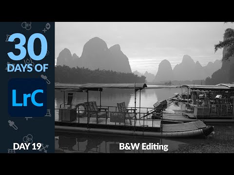 B&W Editing in Lightroom - Day 19