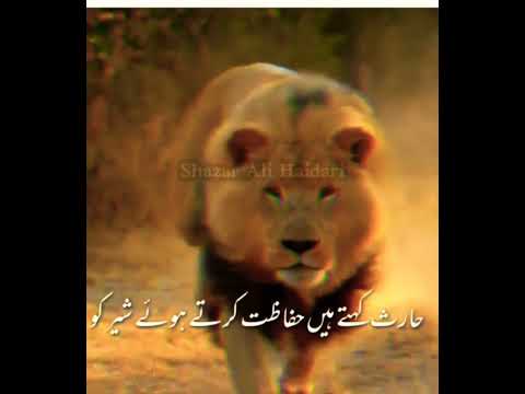 Names of different types and conditions of lion || Maulana Syed Ali raza Rizvi #ali_mola