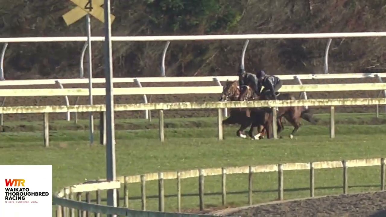 Jumpouts 12th May