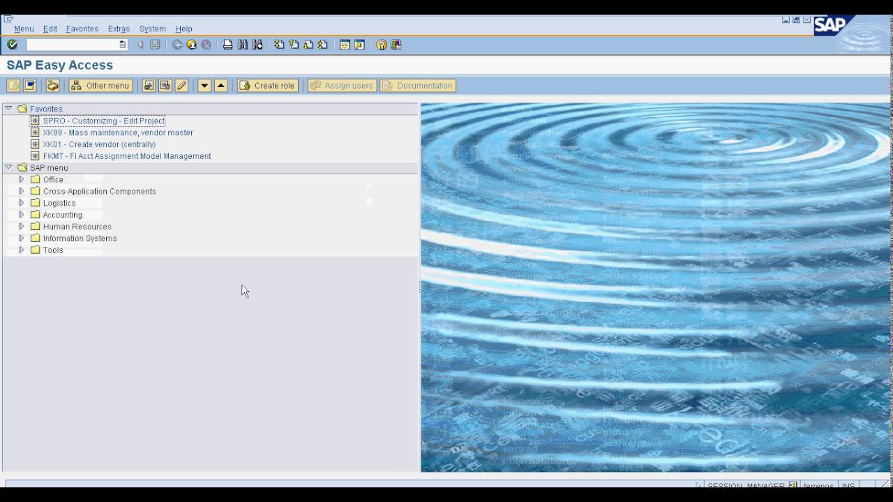 SAP Basic settings complete configuration.