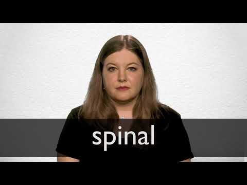 How to pronounce SPINAL in British English