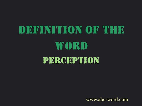 Definition of the word "Perception"