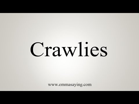 How To Say Crawlies