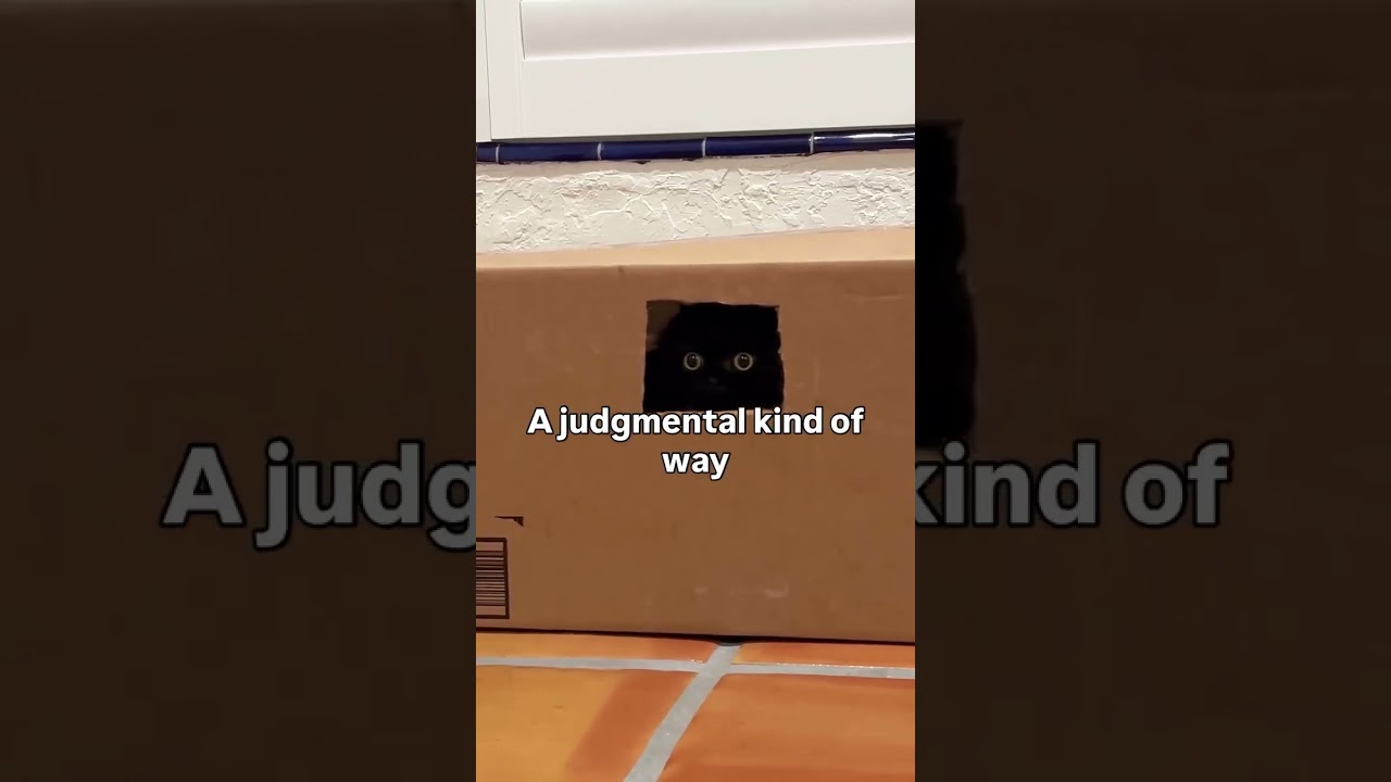 When you scroll on reels because... you like wanna know 👀Check out more reels we loved this week