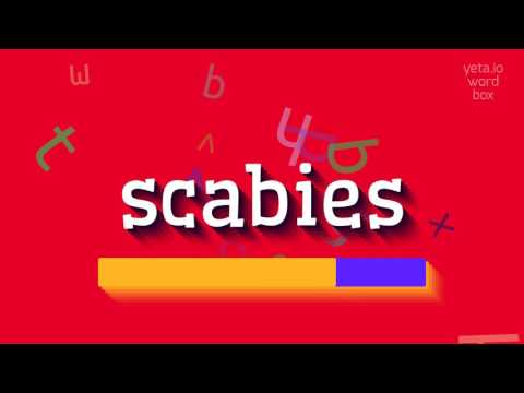 How to say "scabies"! (High Quality Voices)