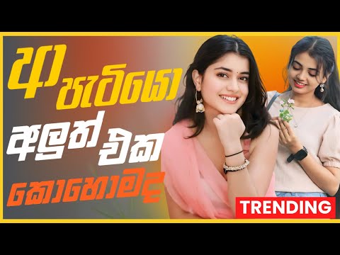 Best 2025 Trending Sinhala Band Nonstop | Viral Songs | Best Sinhala Songs Collection | Sinhala Song