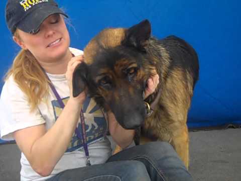 Hero A4629697