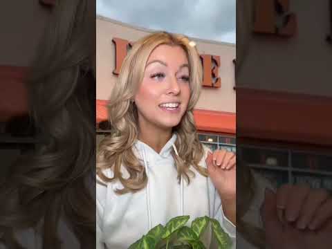 Did you know this about #homedepot ?! #plants #checkmatesavings