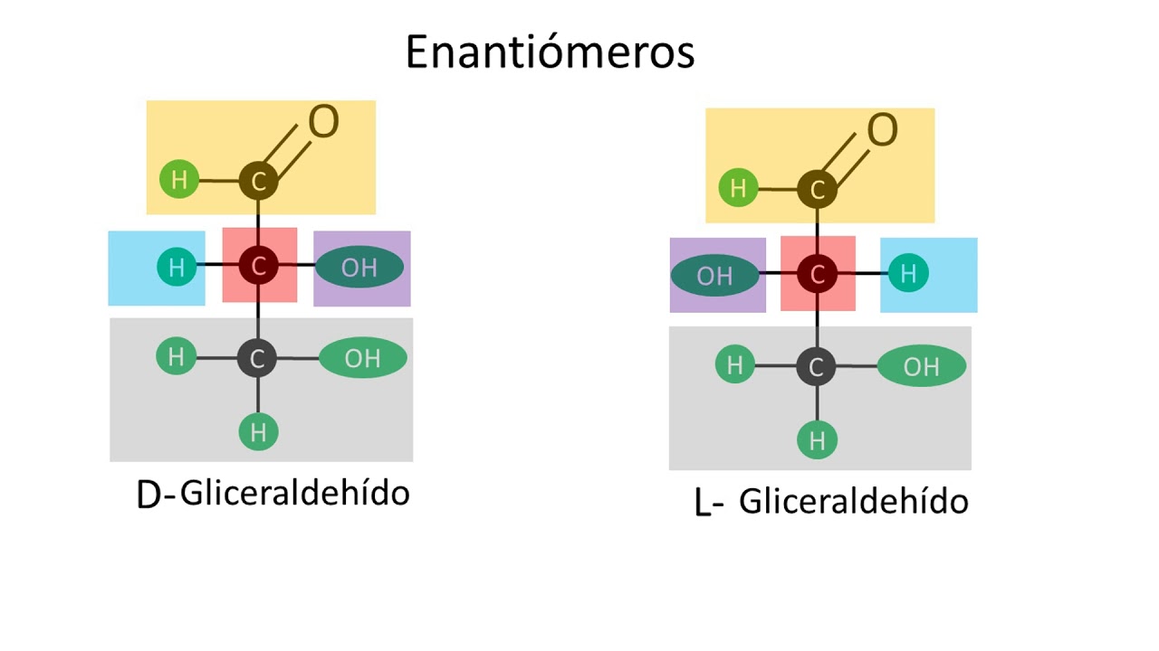 Carbohydrates | Enantiomers and Epimers | D and L Configuration