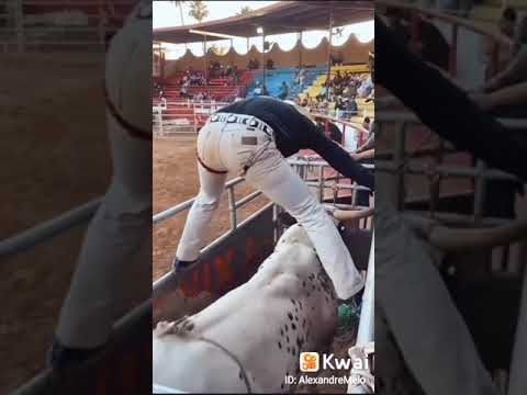 Rodeio sem as mãos