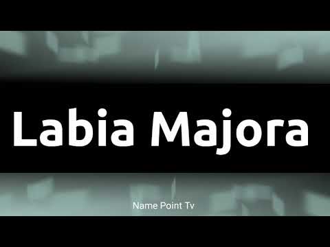 How To Pronounce Labia Majora | Pronouncation Labia Majora | How To Say Labia Majora