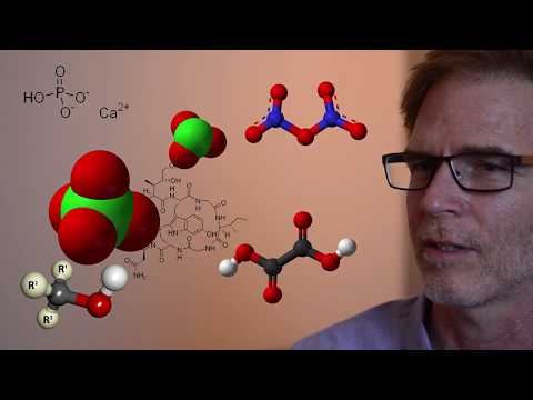 Biophotonics at BLI Part 3