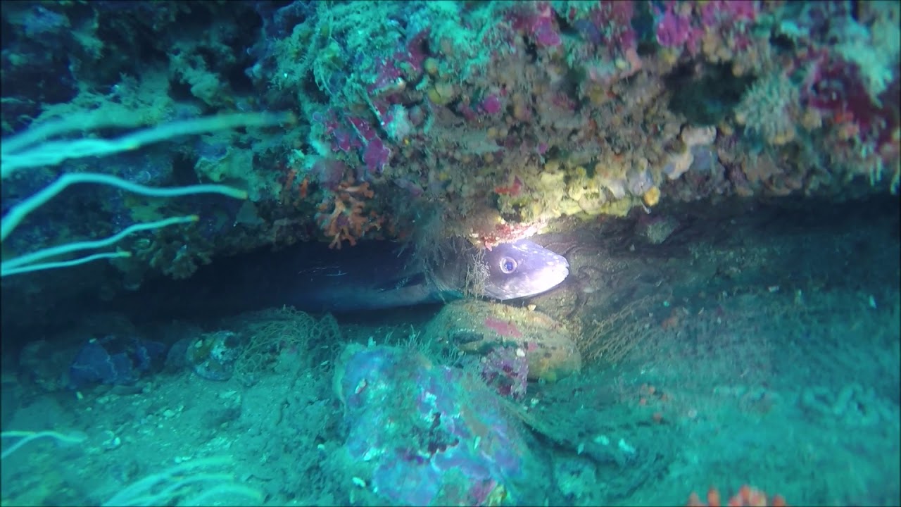 TEC Diving in Spain, winter time