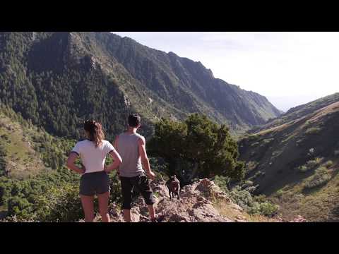 Utah Trip: Exploring Little Cottonwood and The Pipeline Trail