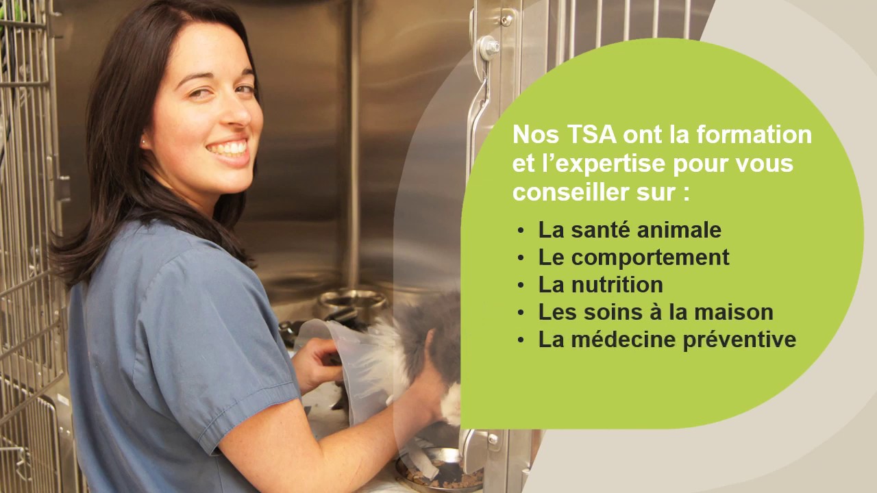 Centre Vétérinaire Laval
