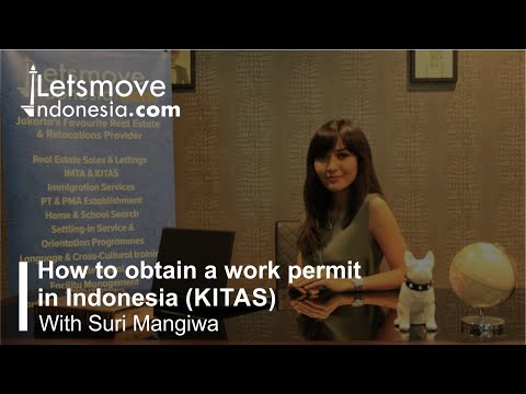 How to obtain a work permit in Indonesia (KITAS)