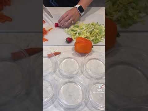 Bearded dragon food prep livingonlife101