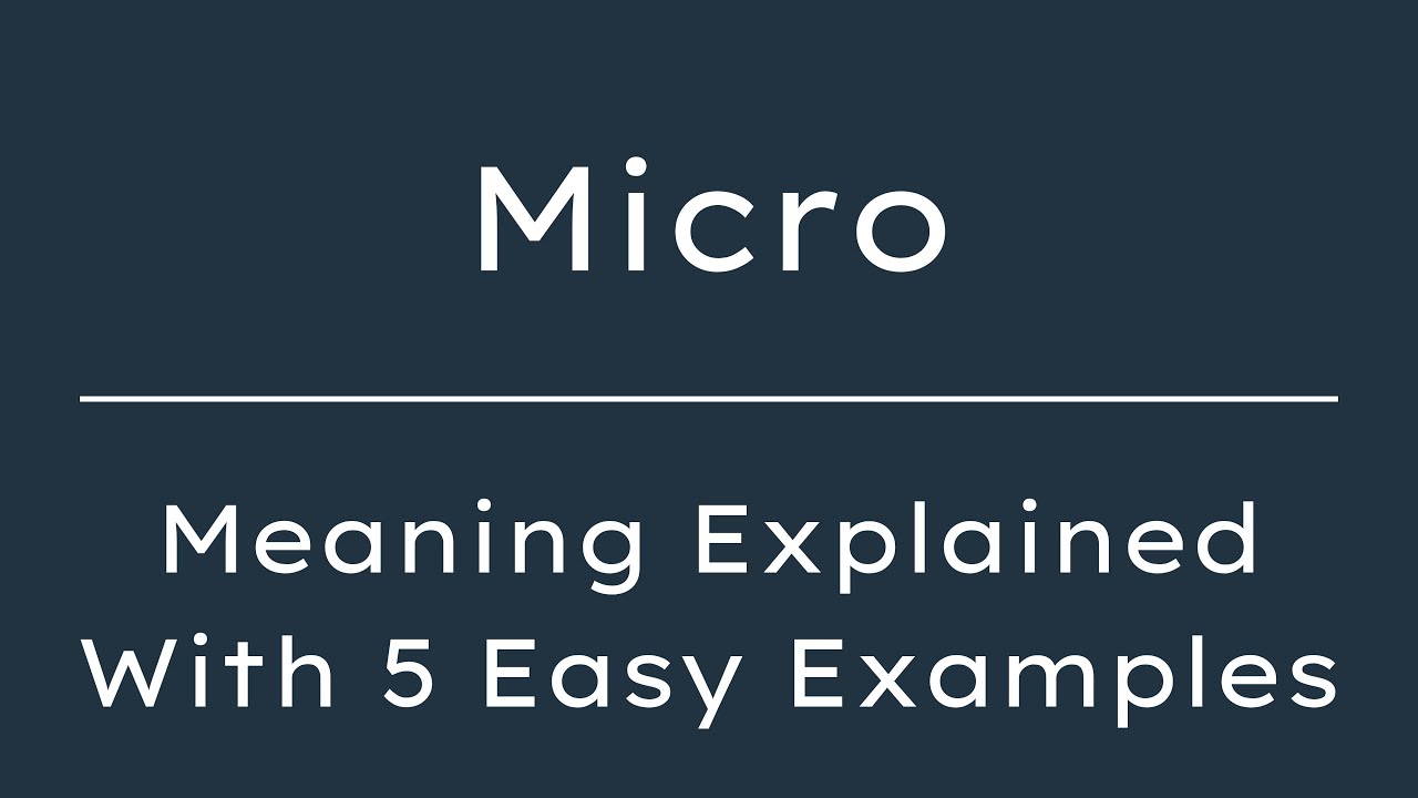 What Does Micro Mean? Micro Meaning in English With 5 Example Sentences