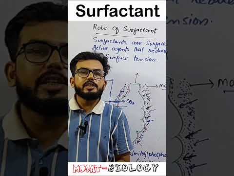 Role of Surfactants in our body- How it protect our lungs from collapse