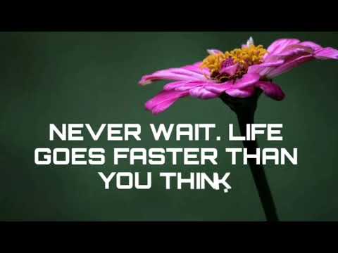 Beautiful Short Quotes About Life | Best Short Life Lessons Quotes