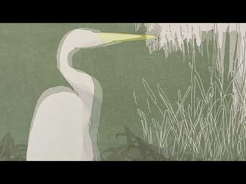 Jane Lee : Here & Now
