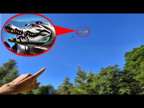 If You See Bombardino Crocodilo and Italian Animal Brainrot in Real Life, Run!!