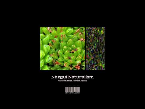 PREMIERE: Nazgul Naturalism - Extraterrestrial Tool [INSTINKTLAB011]