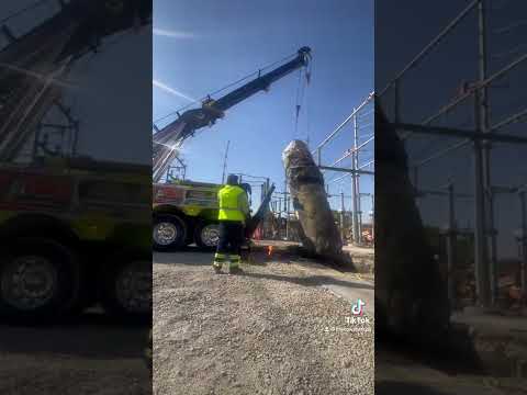 45k lift!! #largecar #rotator #towing #wrecker #50ton #recovery #viral #fun @thetowman2845