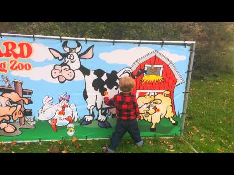 Barnyard Petting Zoo