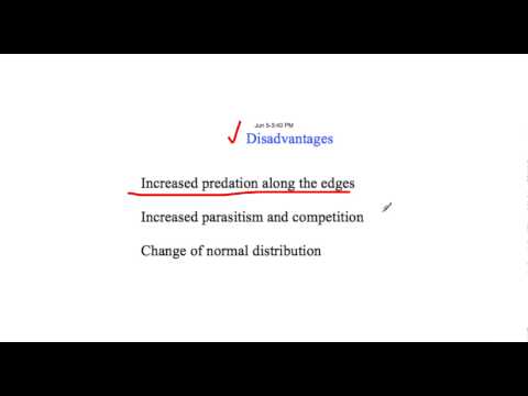 Edge Effect