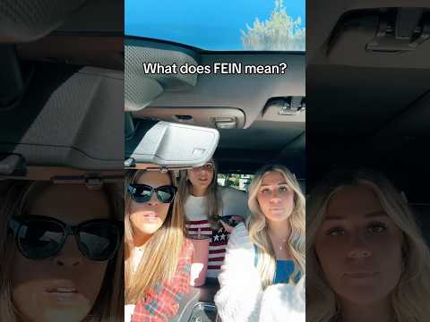 What does fein mean?