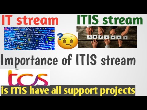 IT and ITIS streams in TCS|Importance of ITIS in every IT Company #ITIS #it #tcs #mnc