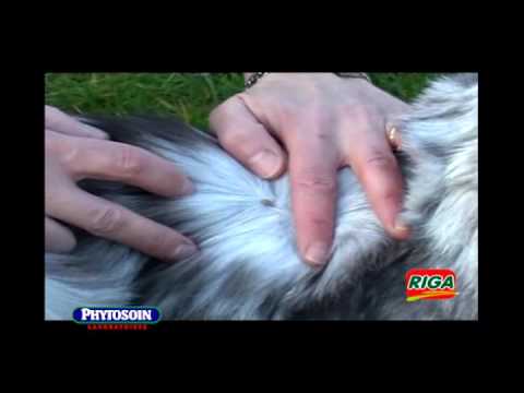 Tick'out - Pince à tiques PHYTOSOIN