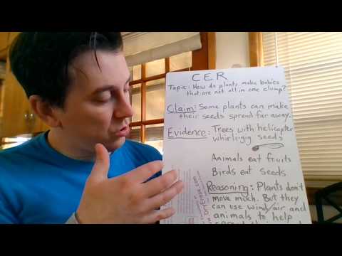 Claim Evidence Reasoning - CER explained